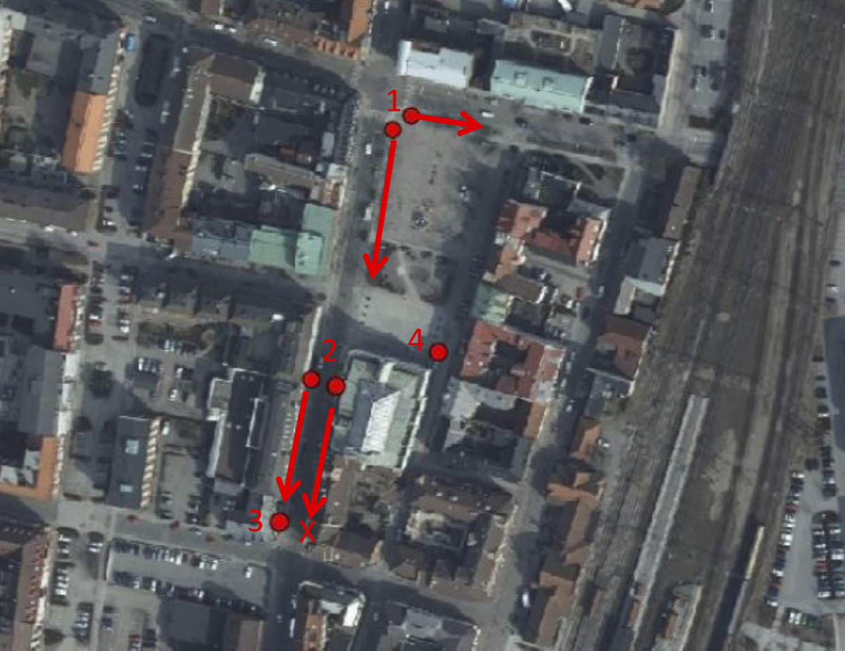 Länsstyrelsen Sa Ja Till Att Ta Bort Fyra Träd Och Plantera Sex Nya Stora Torg